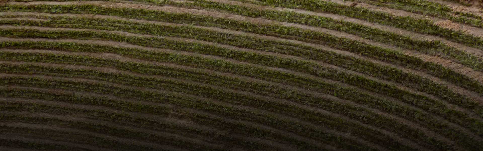 Ecobunker - Design and construction of the synthetic golf bunker